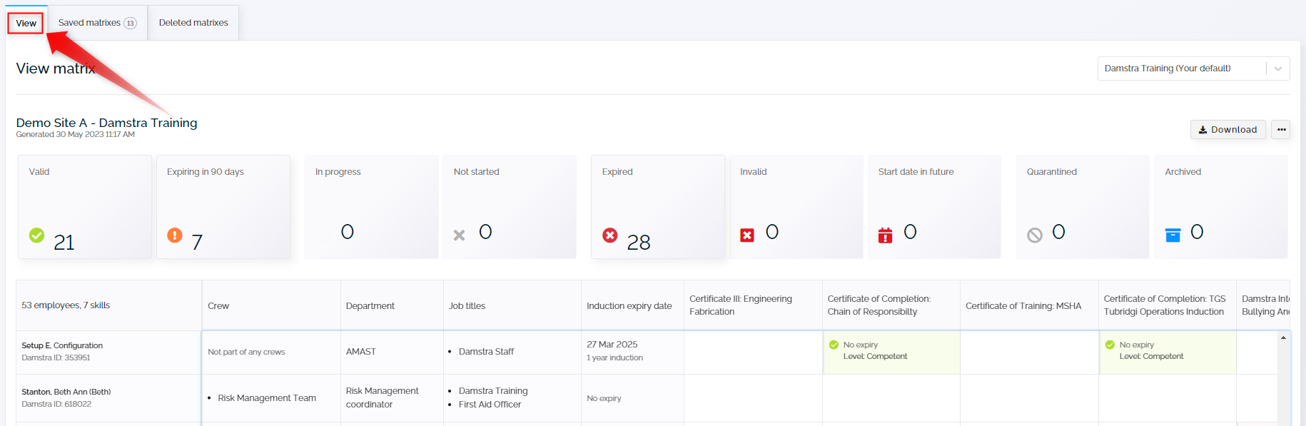 Skills Matrix Summary Page – Damstra