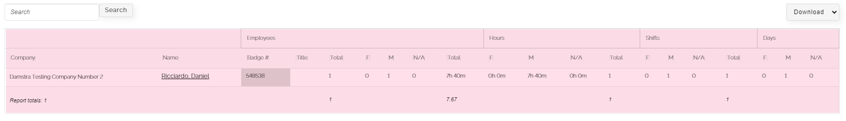 Company timecards – Damstra