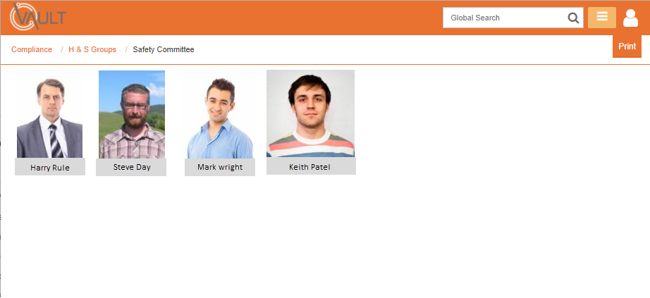 Where can I find and print the H&S Groups? – Damstra