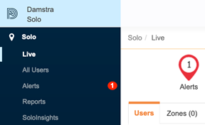 Damstra Solo Co-branding Feature Release 06042021 – Damstra